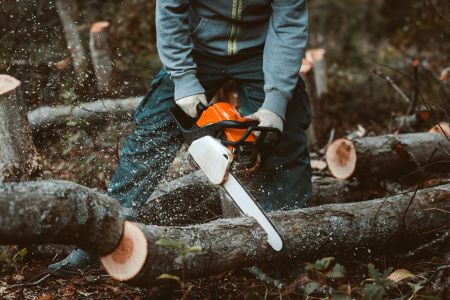 Common Injuries Among Forestry and Logging Workers